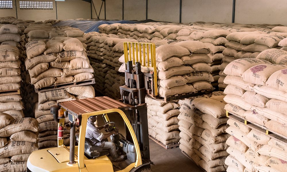 MSC Prepares as Cocoa Season Begins in West Africa - Logistics Manager