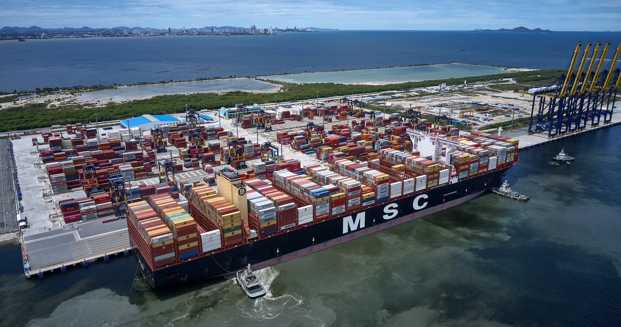 MSC Mina Breaks Record as the Largest Container Ship to Call in ...