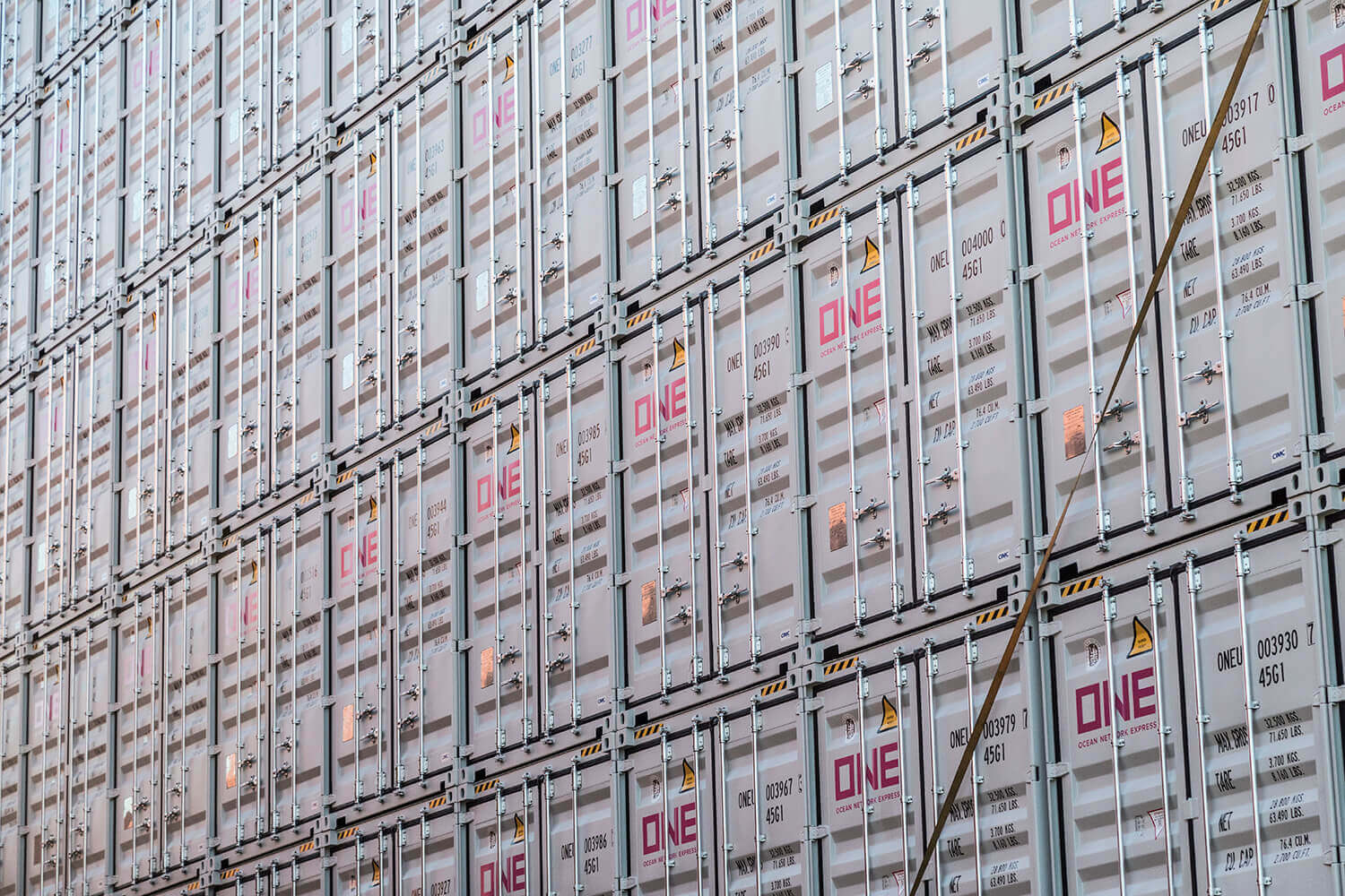 Ocean Network Express expands its Refrigerated Container Fleet