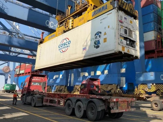 COSCO SHIPPING “Cherry Express” Delivers Chilean Cherries