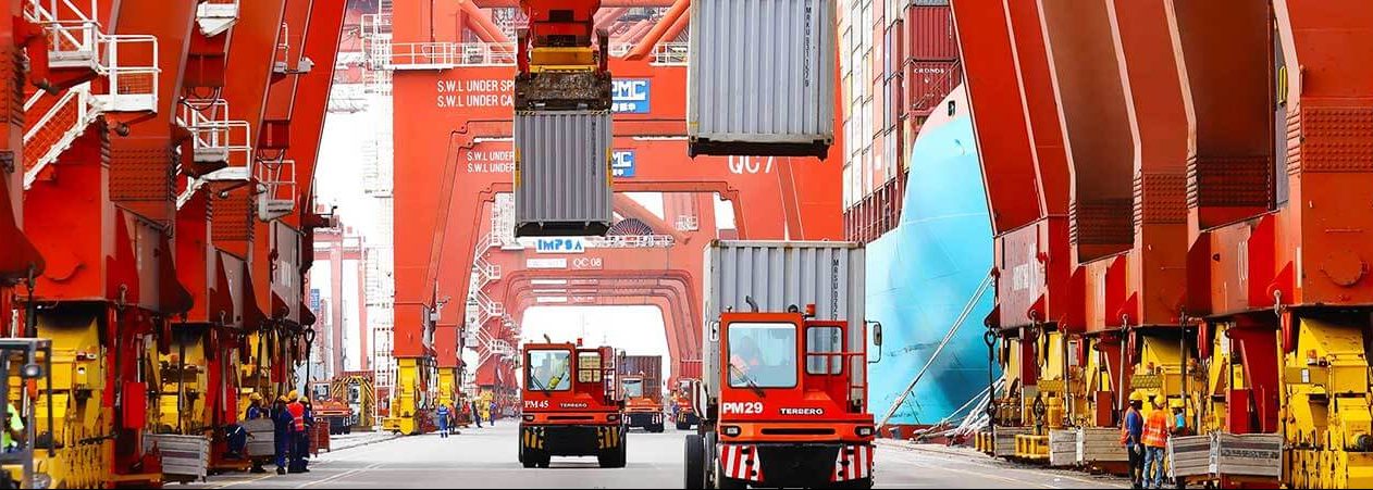 South Asia Gateway Terminals ร่วมฟื้นฟูป่าสงวนในศรีลังกา - Logistics ...