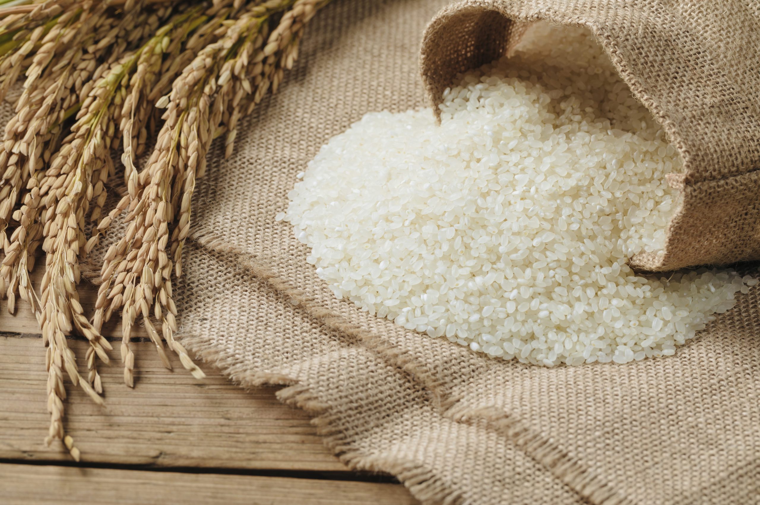 MSC Well-Positioned to Support Rising Rice Trades