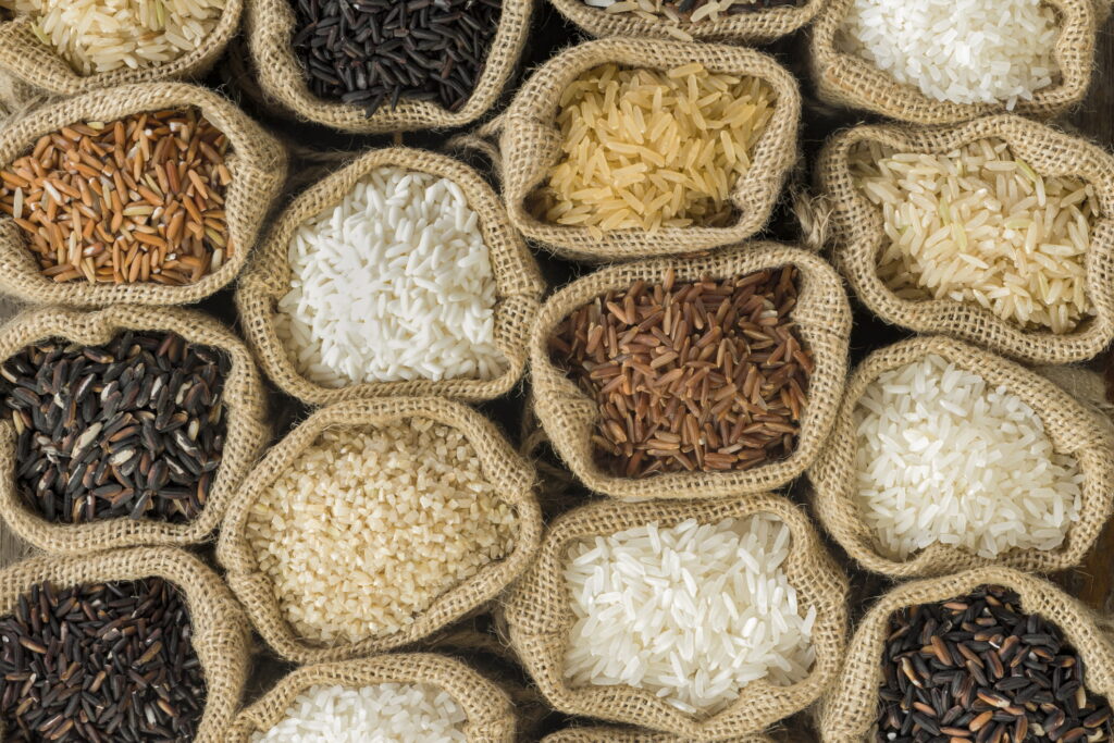 Meet MSC at World Rice Conference 2023 - Logistics Manager