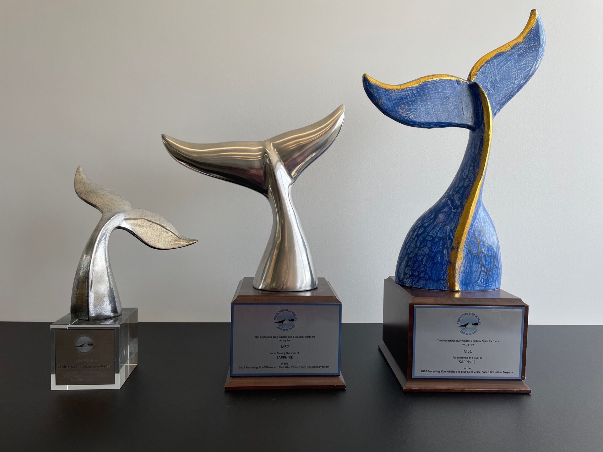 MSC Awarded for Whale Protection Efforts by BWBS - Logistics Manager