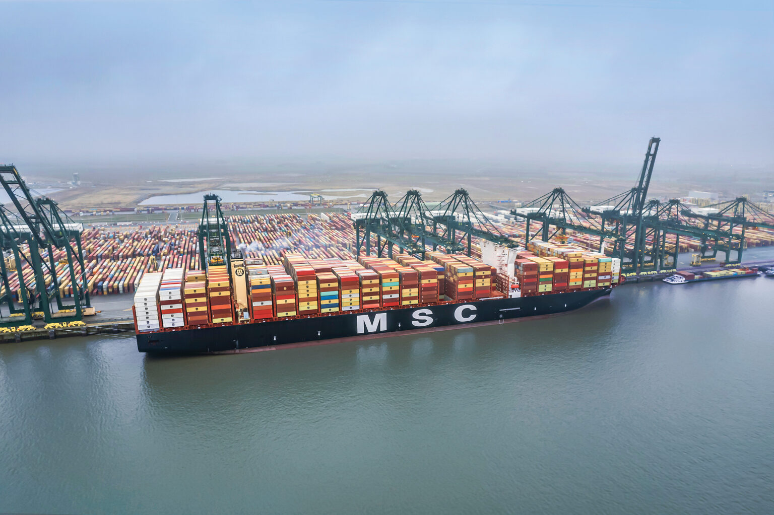 Independence Day: MSC Standalone East/West Network Strengthens Thailand ...