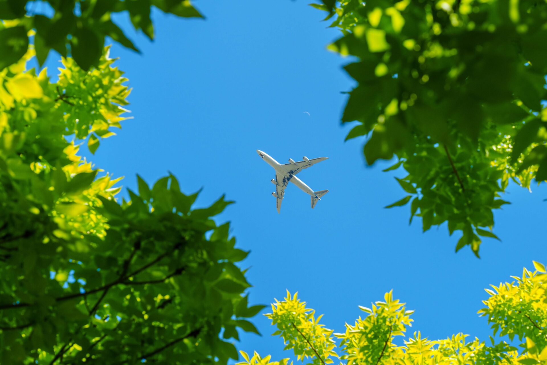 Triple i Leads the Way to Sustainable Growth with 'Logistics and Beyond ...