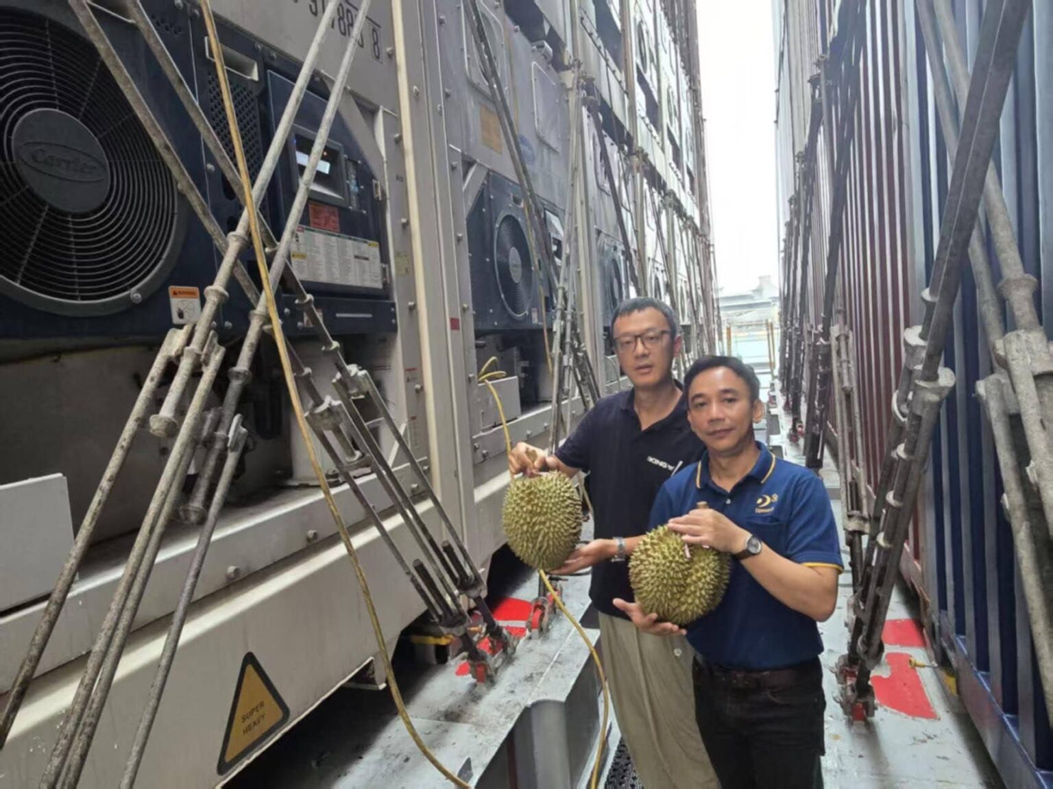 DP3 ร่วมกับ Hede Shipping (Hong Kong) เริ่มต้นปฏิบัติการขนส่งทุเรียนสู่ ...