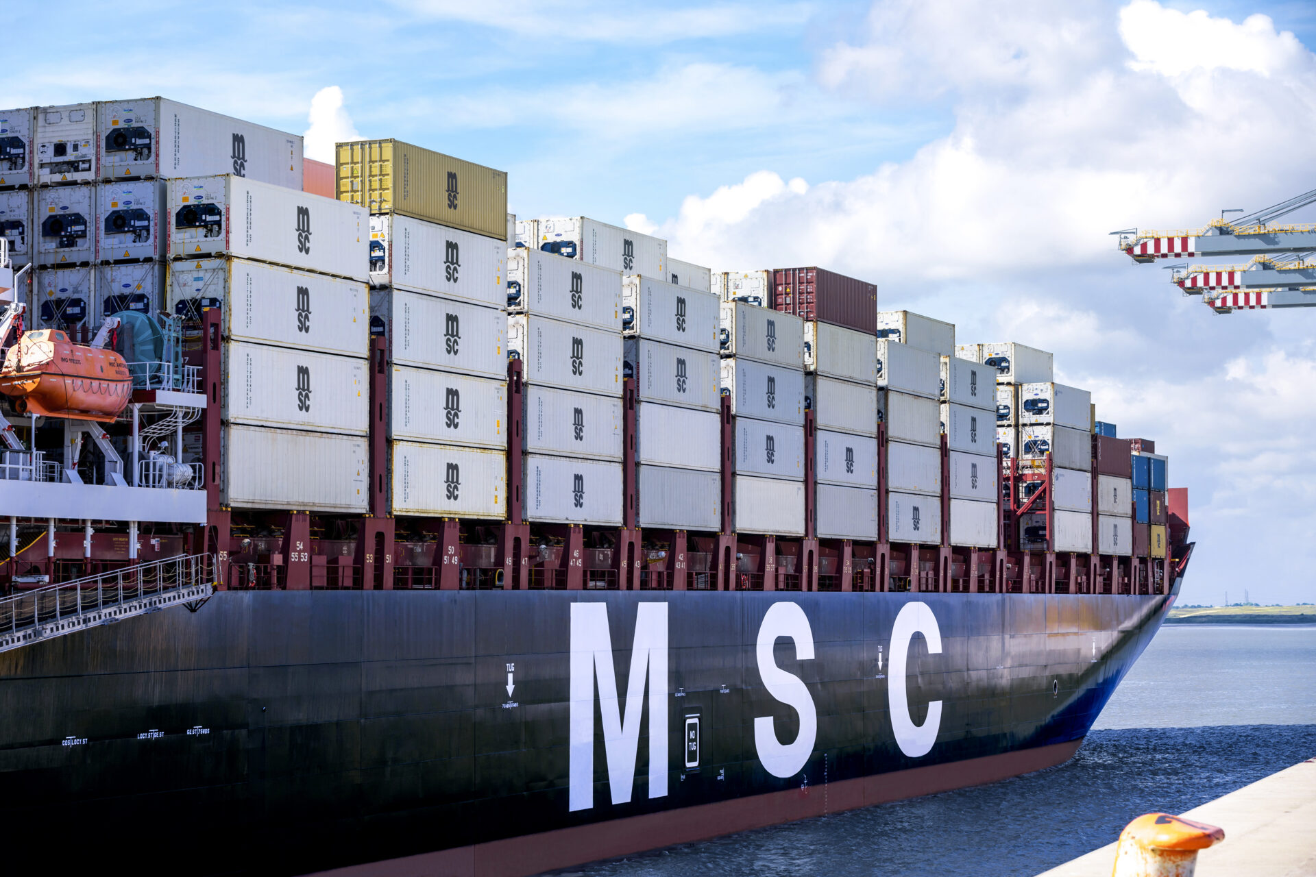 MSC เปิดตัวบริการ Eagle Service ปรับปรุงใหม่ เชื่อมออสเตรเลียและนิวซีแลนด์สู่ชายฝั่งตะวันออกของ ...