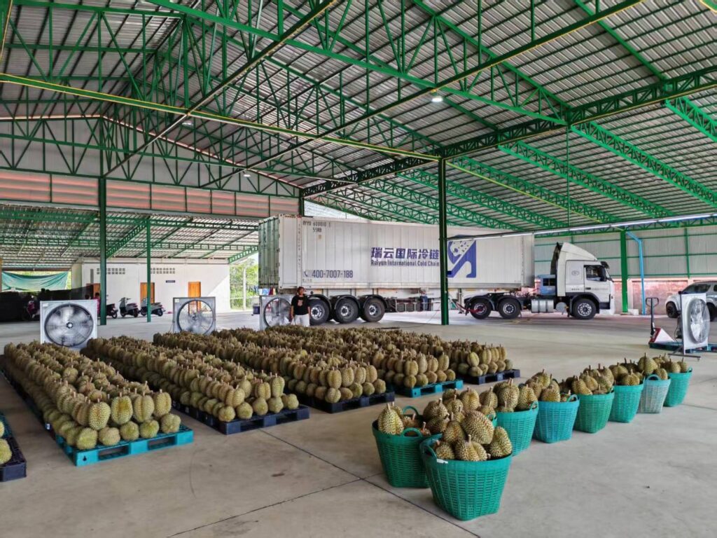 SJWD จับมือ Ruiyun และ Golden Line ตั้งบริษัทร่วมทุน ขยายฐานสู่ตลาด ...